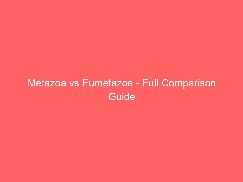 Metazoa vs Eumetazoa - Full Comparison Guide